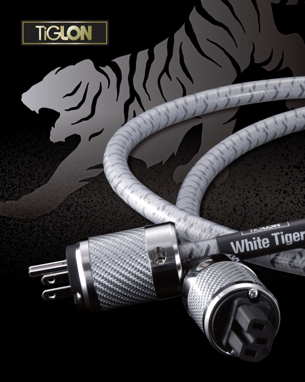 Tiglon | HAPPY NEW YEAR